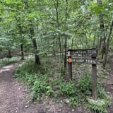 Day Loop Trail, Tennessee - 4,195 Reviews, Map | AllTrails