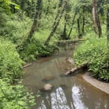 Tryon Creek Triple Bridge Loop, Oregon - 1,568 Reviews, Map | AllTrails