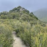 Stoddard Peak, California - 2,257 Reviews, Map | AllTrails
