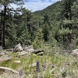 Independence Mountain Trail, Colorado - 5,108 Reviews, Map | AllTrails