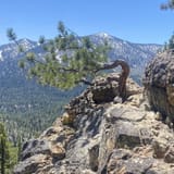 Castle Rock Loop Trail, Nevada - 1,856 Reviews, Map | AllTrails