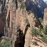Angels Landing Trail, Utah - 27,505 Reviews, Map | AllTrails