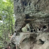 Koomer Ridge Trail, Kentucky - 635 Reviews, Map | AllTrails