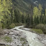Loop Brook Trail, British Columbia, Canada - 251 Reviews, Map | AllTrails