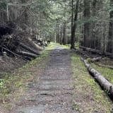 Loop Brook Trail, British Columbia, Canada - 251 Reviews, Map | AllTrails