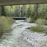 Loop Brook Trail, British Columbia, Canada - 251 Reviews, Map | AllTrails