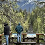 Loop Brook Trail, British Columbia, Canada - 251 Reviews, Map | AllTrails