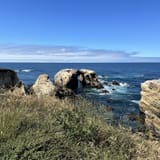 Point Buchon Trail, California - 608 Reviews, Map | AllTrails