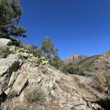 Barnhardt Trail Waterfall, Arizona - 929 Reviews, Map | AllTrails