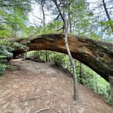 Indian Staircase Trail, Kentucky - 1,816 Reviews, Map | AllTrails