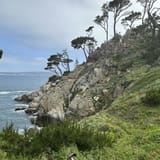 Point Lobos Loop, California - 7,752 Reviews, Map | AllTrails