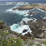 Point Lobos Loop, California - 7,752 Reviews, Map | AllTrails