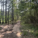 Spring Creek Nature Trail, Texas - 385 Reviews, Map | AllTrails