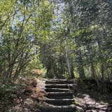 Lost '40' Trail, Minnesota - 182 Reviews, Map | AllTrails
