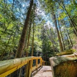 Sabbaday Falls , New Hampshire - 1,441 Reviews, Map | AllTrails