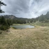Beaver Ponds Loop Trail, Montana - 1,216 Reviews, Map | AllTrails