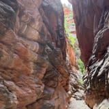 Spring Creek Canyon, Utah - 1,345 Reviews, Map | AllTrails