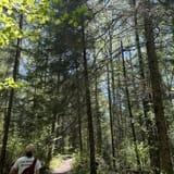 Lost '40' Trail, Minnesota - 145 Reviews, Map | AllTrails
