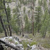 Hell Canyon Trail , South Dakota - 614 Reviews, Map | AllTrails