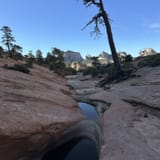 Many Pools Trail, Utah - 1,579 Reviews, Map | AllTrails