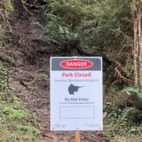 Mount Victoria Track, Victoria, Australia - 287 Reviews, Map | AllTrails