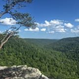 Fiery Gizzard Loop, Tennessee - 1,130 Reviews, Map | AllTrails