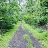 Liberty Loop Trail, New York - 416 Reviews, Map | AllTrails