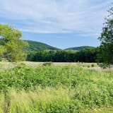 Liberty Loop Trail, New York - 416 Reviews, Map | AllTrails