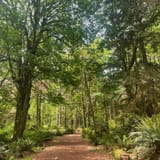 Point Defiance Park Outer Loop, Washington - 4,051 Reviews, Map | AllTrails
