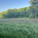 Perry Lake Hiking Trail, Kansas - 117 Reviews, Map | AllTrails