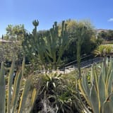 Terranea Discovery Trail, California - 1,505 Reviews, Map | AllTrails