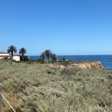 Terranea Discovery Trail, California - 1,505 Reviews, Map | AllTrails
