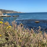 Terranea Discovery Trail, California - 1,505 Reviews, Map | AllTrails