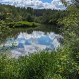 Painted Rocks Nature Trail, Washington - 770 Reviews, Map | AllTrails