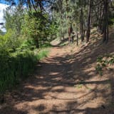 Painted Rocks Nature Trail, Washington - 770 Reviews, Map | AllTrails