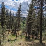 Painted Rocks Nature Trail, Washington - 715 Reviews, Map | AllTrails