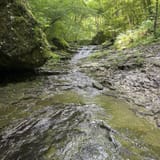 Indian Creek Trail to Eye of the Needle, Arkansas - 960 Reviews, Map ...