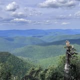 Burroughs Range Trail (Wittenberg, Cornell, Slide Trail), New York ...