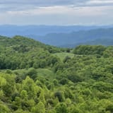 Max Patch Loop, North Carolina - 2,204 Reviews, Map | AllTrails