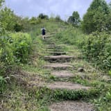 Max Patch Loop, North Carolina - 2,204 Reviews, Map | AllTrails