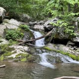 Cedar Run Falls Trail, Virginia - 720 Reviews, Map | AllTrails