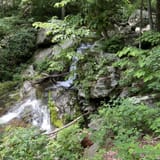 Cedar Run Falls Trail, Virginia - 720 Reviews, Map | AllTrails