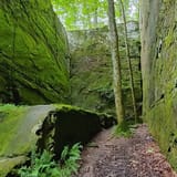 Panther Den Loop, Illinois - 1,021 Reviews, Map | AllTrails