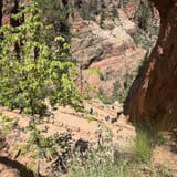 Angels Landing Trail, Utah - 27,505 Reviews, Map | AllTrails