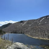 Cub Lake Loop, Colorado - 2,093 Reviews, Map | AllTrails
