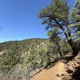 Chamisa Trail, New Mexico - 1,411 Reviews, Map | AllTrails