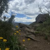 Mount Morrison Trail, Colorado - 5,855 Reviews, Map | AllTrails