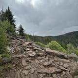 Angel's Rest, Oregon - 8,364 Reviews, Map | AllTrails