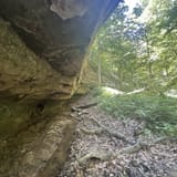 Wildcat Den Trail, Iowa - 1,158 Reviews, Map | AllTrails