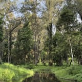 Enoggera Reservoir Circuit, Queensland, Australia - 1,696 Reviews, Map ...